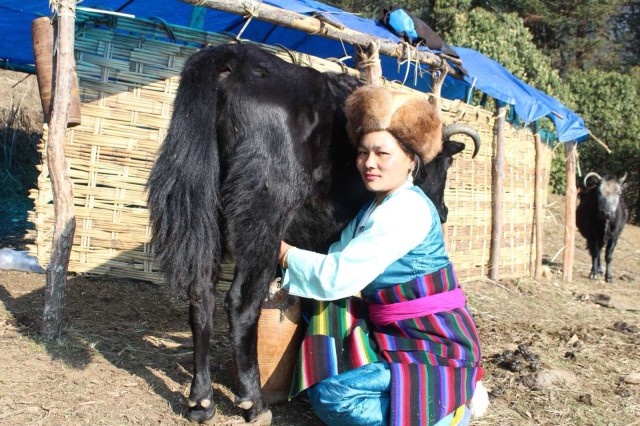 Home [www.ycan.org.np]